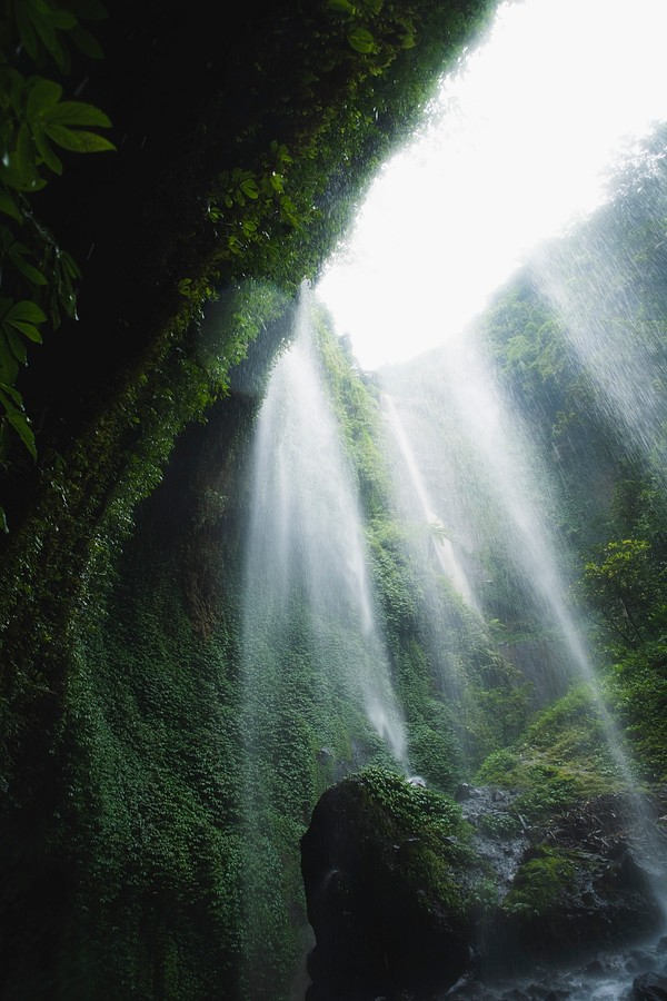 View of waterfall in Java, | Premium Photo - rawpixel