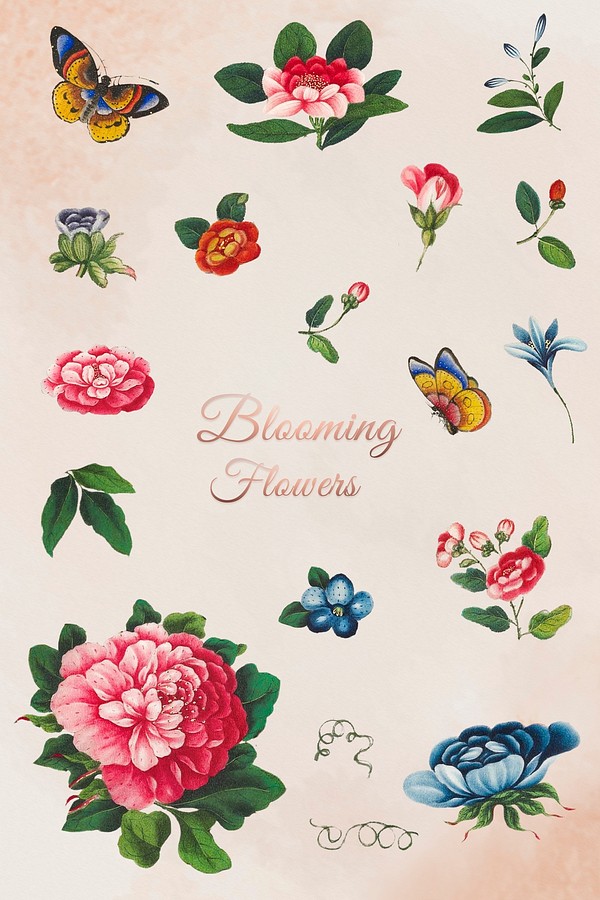 Beautiful vintage Chinese flower illustrations | Premium PSD - rawpixel