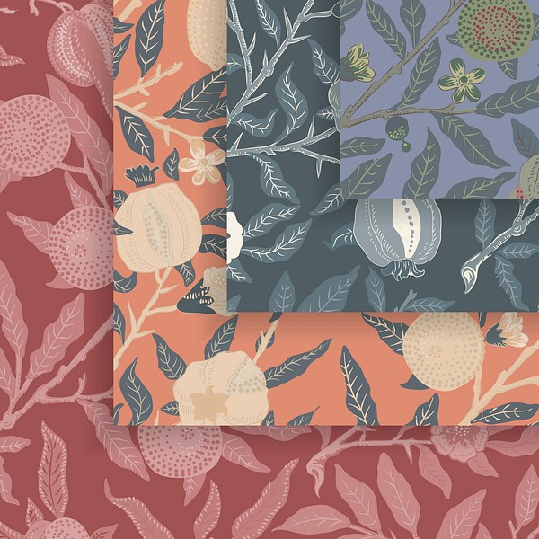 Vintage Illustration of Fruit or | Premium Vector - rawpixel