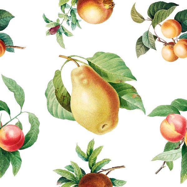 Hand drawn fruits wallpaper vector | Premium Vector - rawpixel