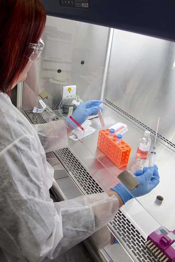 Laboratory technician working cell culture | Free Photo - rawpixel