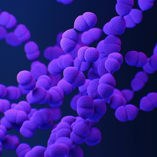 medical illustration drug–resistant, Streptococcus pneumoniae | Free ...