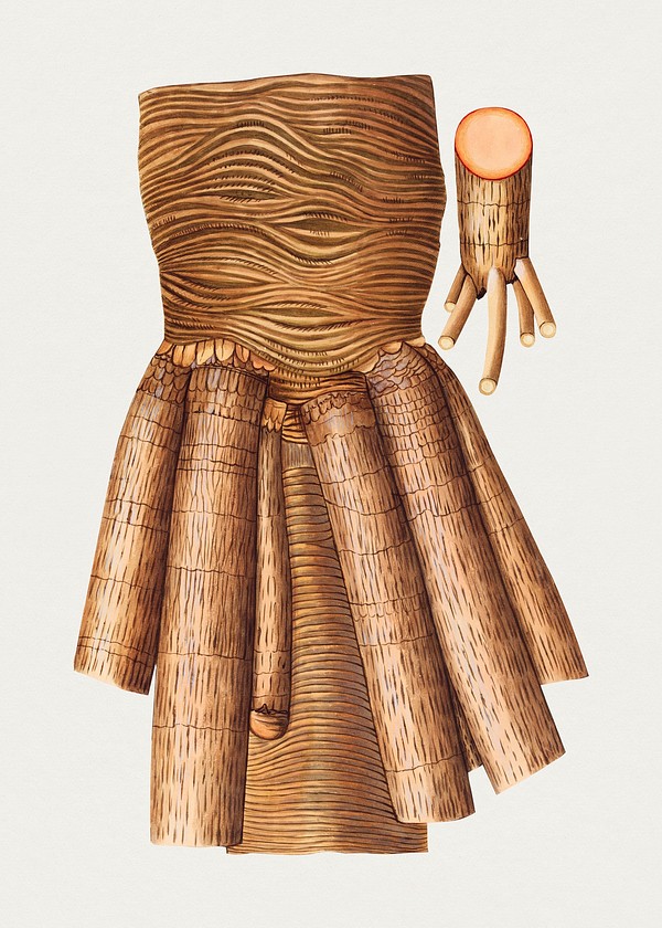 Hand drawn pandanus utilis roots. | Free Photo Illustration - rawpixel