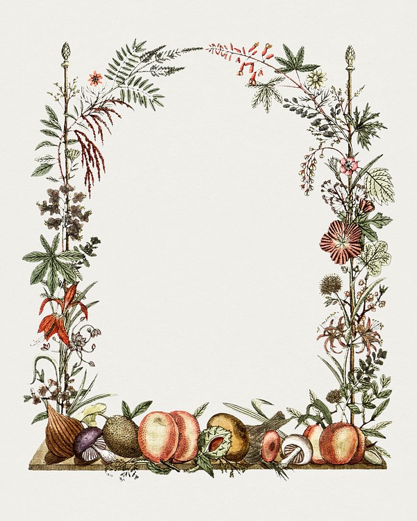 Hand drawn botanical frame. Original | Free Photo Illustration - rawpixel