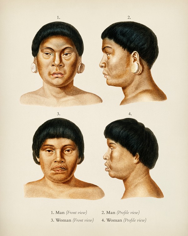 Human race illustrated by Charles | Premium Photo Illustration - rawpixel