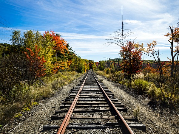 Fall along railroad tracks Bangor, | Free Photo - rawpixel