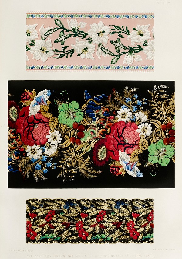 Coventry ribbon and specimens ribbons | Free Photo Illustration - rawpixel