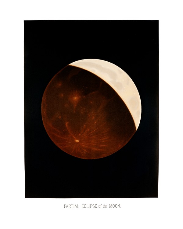 Partial eclipse of the moon | Premium Photo - rawpixel