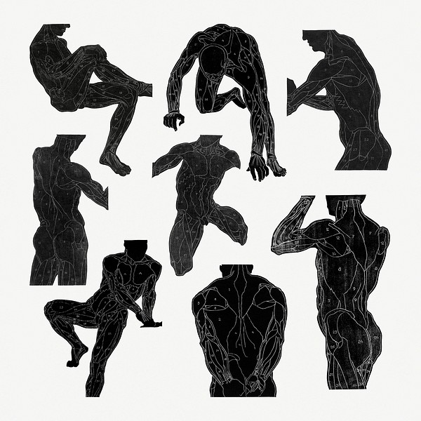 Human anatomy psd in silhouette | Premium PSD - rawpixel