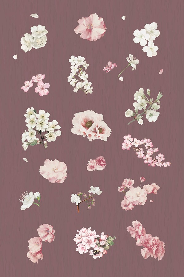 Floral design elements vector collection | Premium Vector - rawpixel