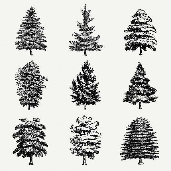 Tree clip art, vintage black | Premium PSD - rawpixel