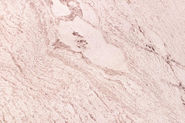 Close up of a pink | Free Photo - rawpixel