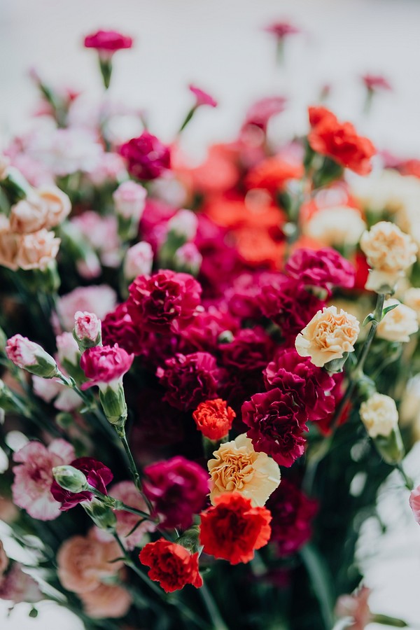 Bouquet of various colorful carnations | Premium Photo - rawpixel