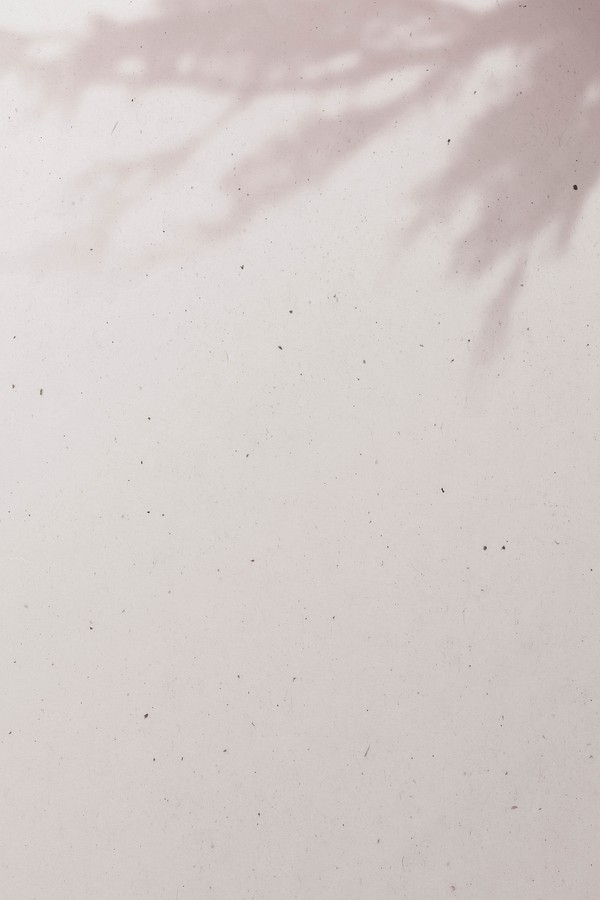 Shadow of leaves design element | Premium PSD - rawpixel