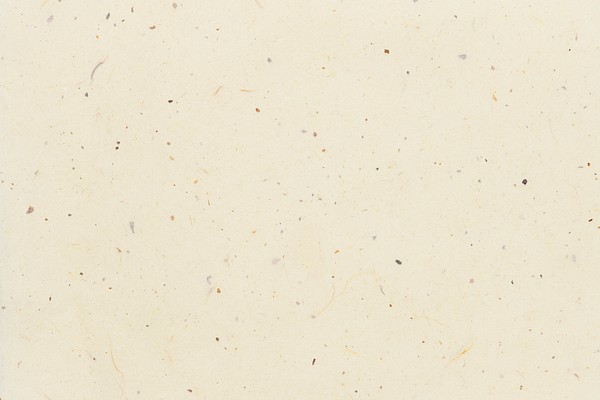 Clean simple beige wallpaper background | Premium Photo - rawpixel