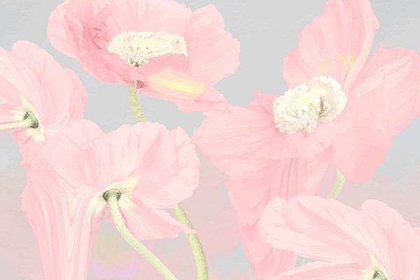 Floral background vector, pink poppy | Premium Vector - rawpixel
