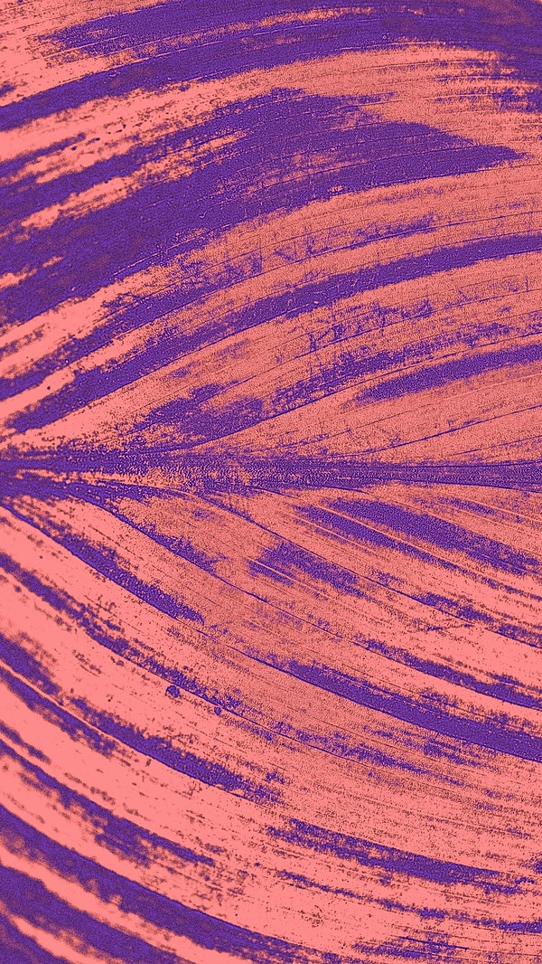 Detailed red leaf textured mobile | Premium Photo - rawpixel