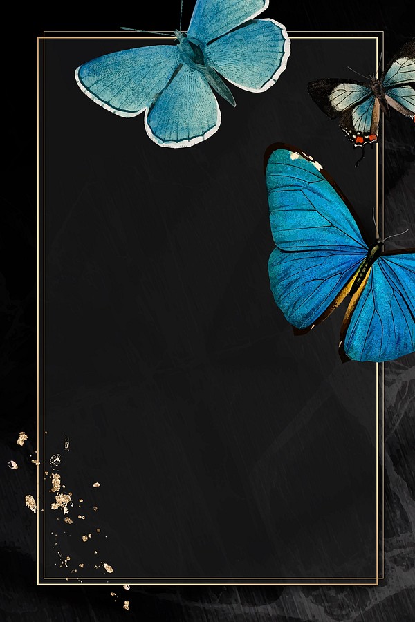 Gold frame with blue butterflies | Premium Vector - rawpixel