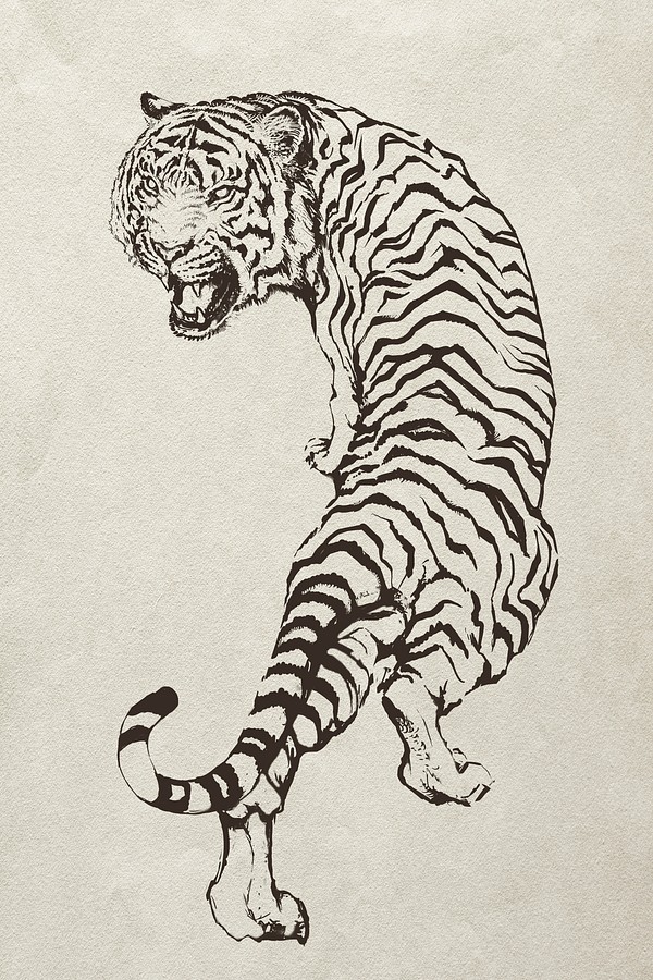 Hand drawn roaring tiger illustration | Premium Photo Illustration ...