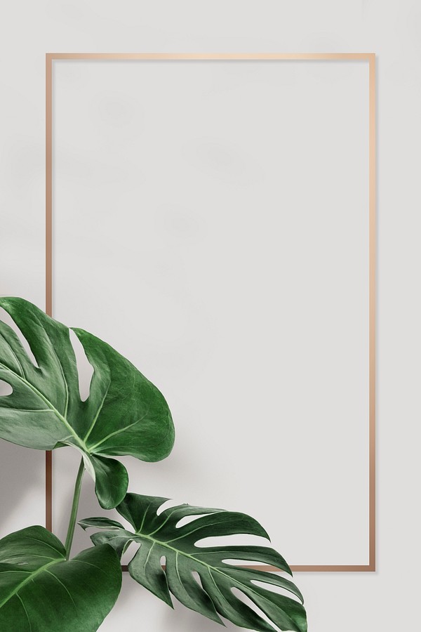 Golden rectangle monstera leaves frame | Premium PSD - rawpixel