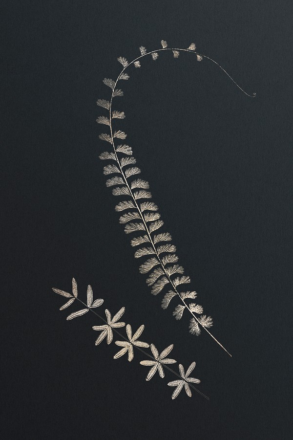 Shimmering golden fern leaf design | Premium PSD - rawpixel