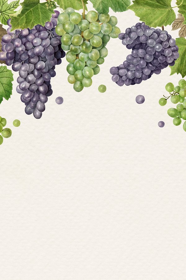 Hand drawn natural fresh grape | Premium PSD - rawpixel