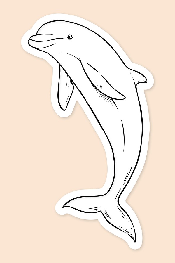 Vintage hand drawn dolphin cartoon | Free Photo - rawpixel