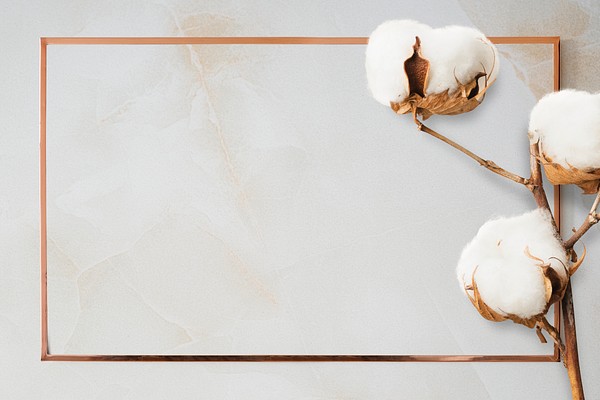 Dried cotton flower frame metallic | Premium PSD - rawpixel