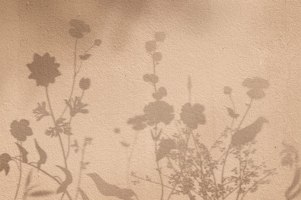 Background with floral field shadow | Premium Photo - rawpixel