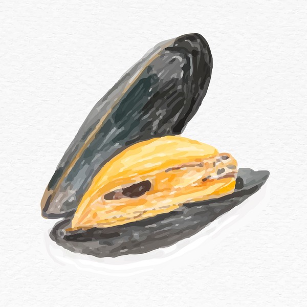 Watercolor mussel psd drawing illustration | Premium PSD - rawpixel