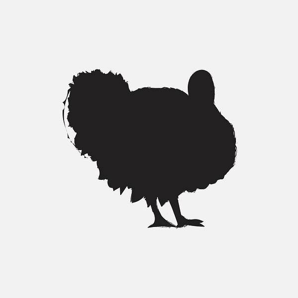 Illustration drawing style of turkey | Premium Vector - rawpixel