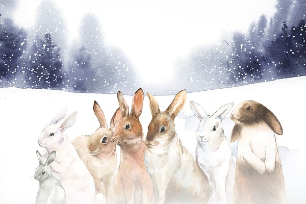 Wild rabbits winter snow painted | Premium Vector Illustration - rawpixel