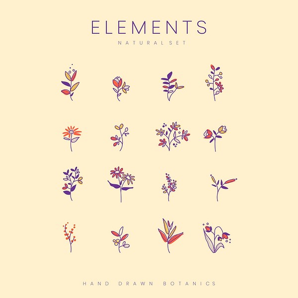 Set of hand drawn botanical | Free Vector - rawpixel