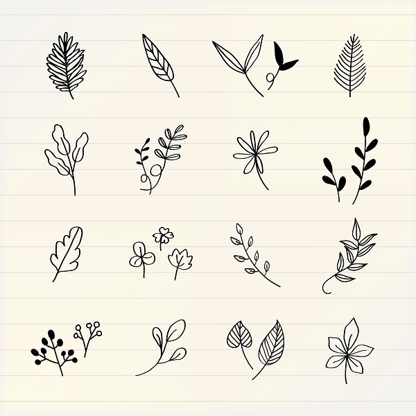 Various leaves doodle collection vector | Free Vector - rawpixel
