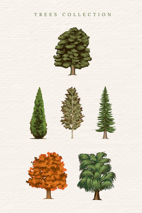 Hand drawn trees vector set | Premium Vector - rawpixel