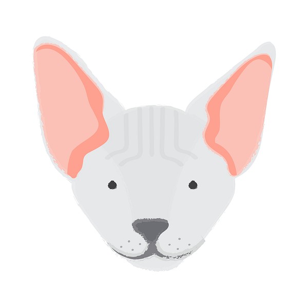 Illustration of a cat's head | Premium Vector Illustration - rawpixel