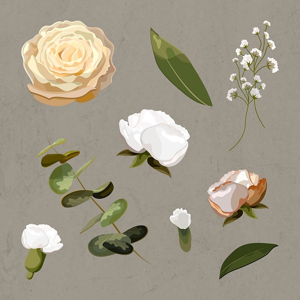 Blooming flowers design resource set | Premium Vector - rawpixel