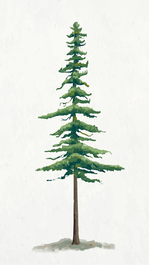Pine tree element graphic vector | Premium Vector Illustration - rawpixel