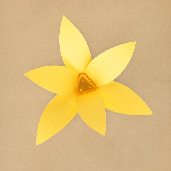 3D paper craft flower | Premium PSD - rawpixel