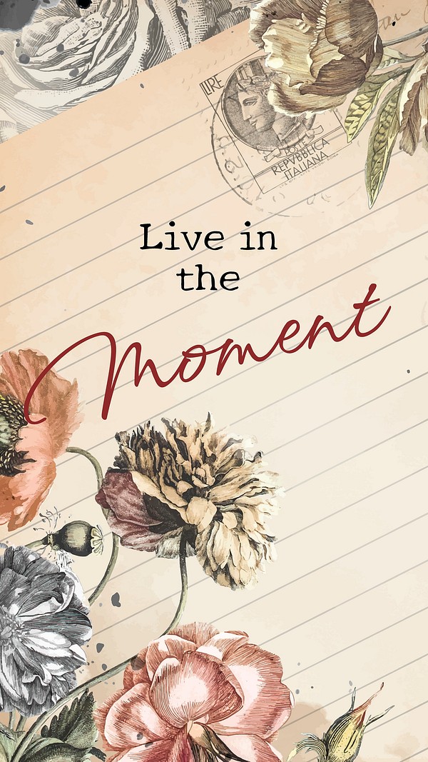 Aesthetic instagram story template, chic | Premium Vector Template ...