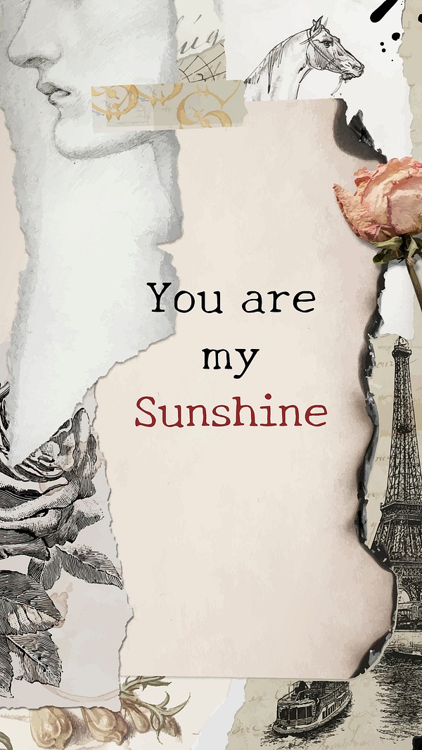 Aesthetic instagram story template, chic | Premium Vector Template ...