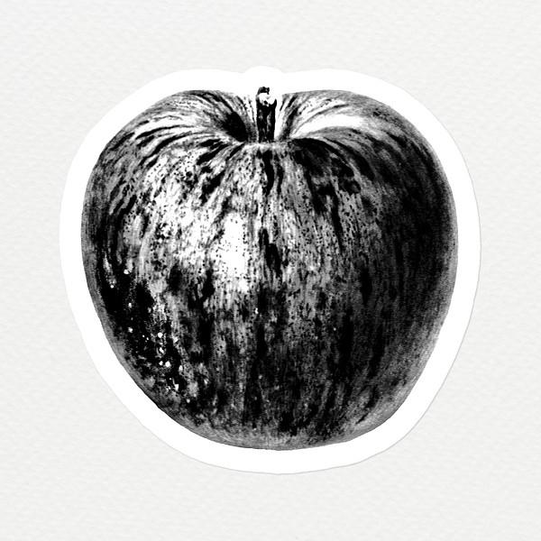 Hand drawn monotone apple sticker | Premium PSD - rawpixel
