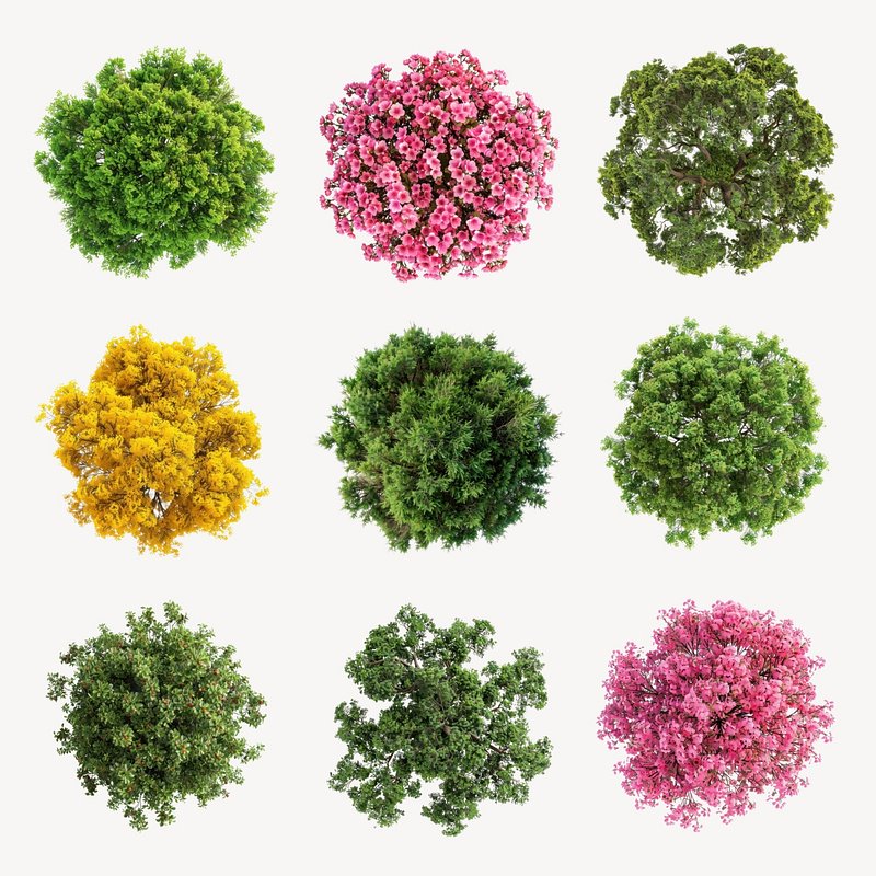 Tree top view set, editable | Premium Editable Design - rawpixel