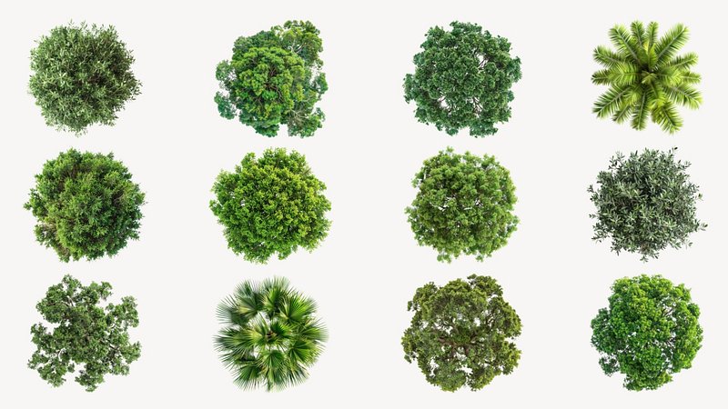 Tree top view set, editable | Premium Editable Design - rawpixel