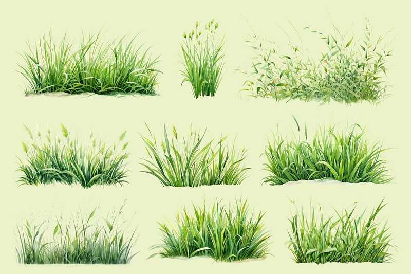 Grass Designs | Free Editable Templates, Logos, Mockups & Remix Designs ...