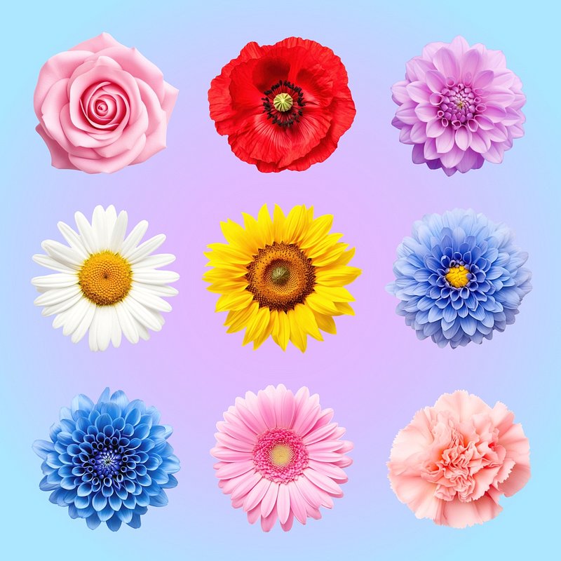 Editable yellow flower design element | Premium Editable Design - rawpixel