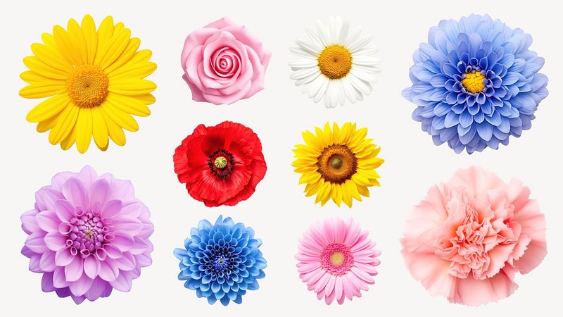 Editable yellow flower design element | Premium Editable Design - rawpixel