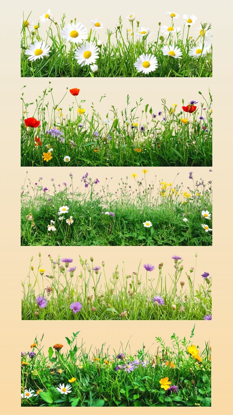 Grass Designs | Free Editable Templates, Logos, Mockups & Remix Designs ...