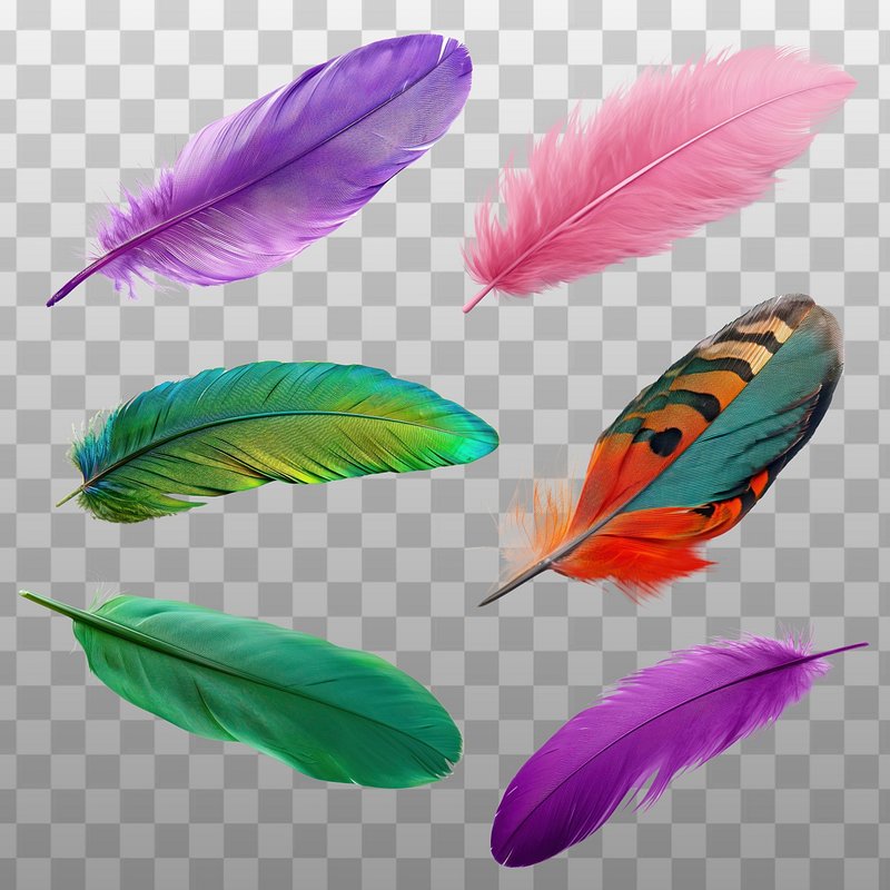 Pink wings vulture angel bird | Free Photo - rawpixel