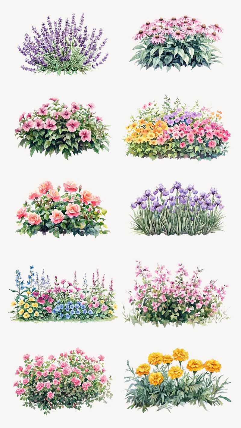 Bedspread (1936) E. Boyd. Original | Free Photo Illustration - rawpixel